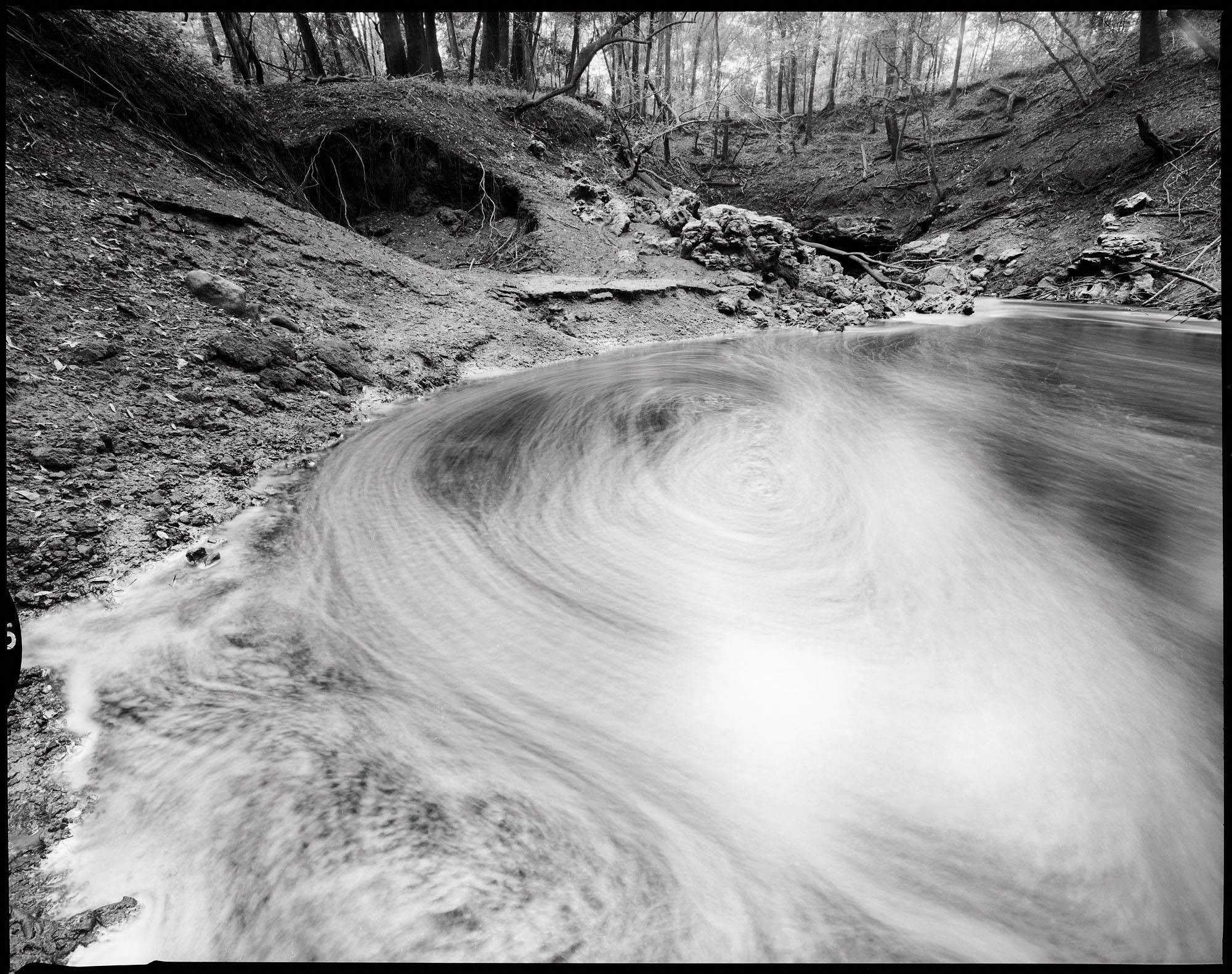 KODAK PROFESSIONAL T-MAX 100 Film | Kodak Alaris